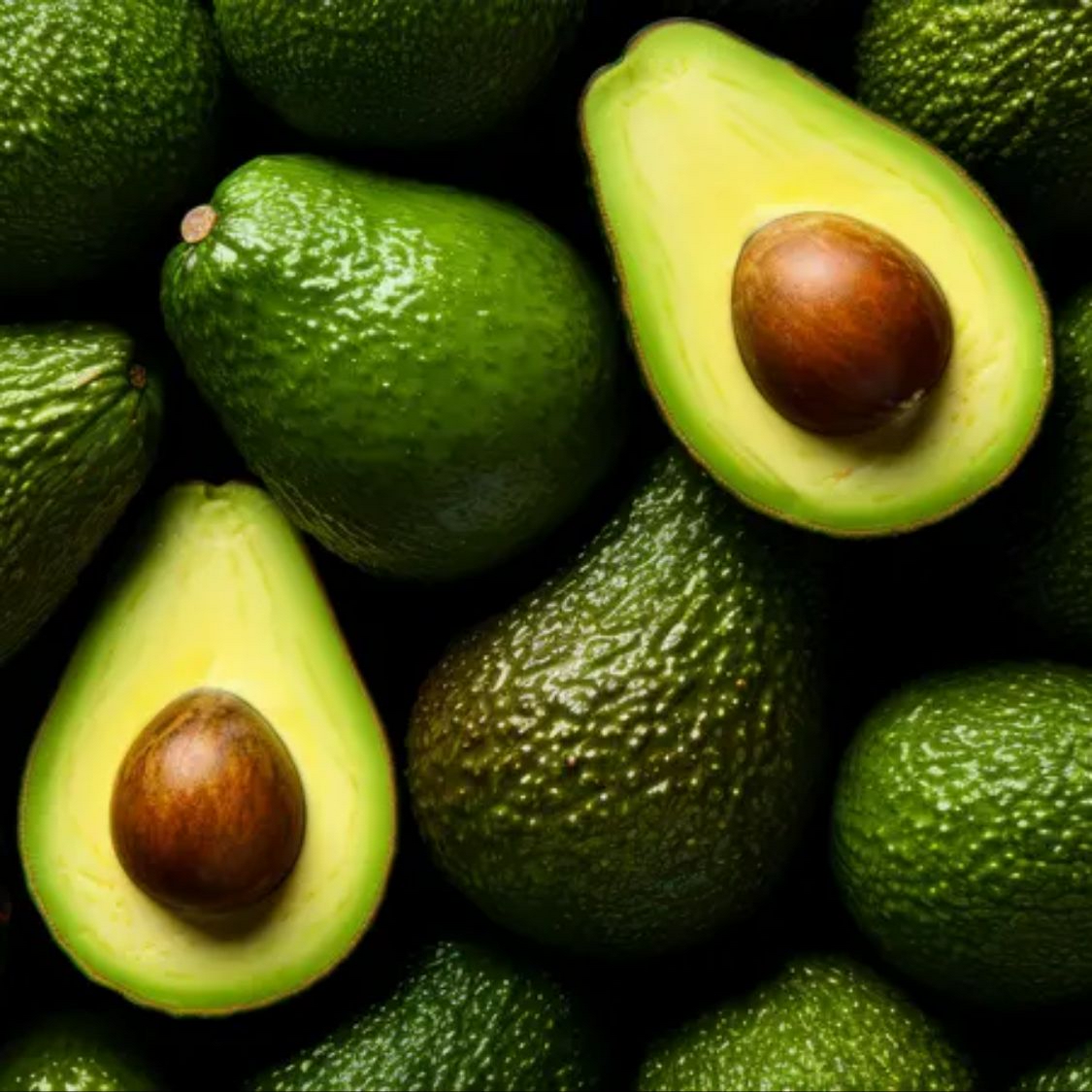 Produk King Avocado | Shopee Indonesia