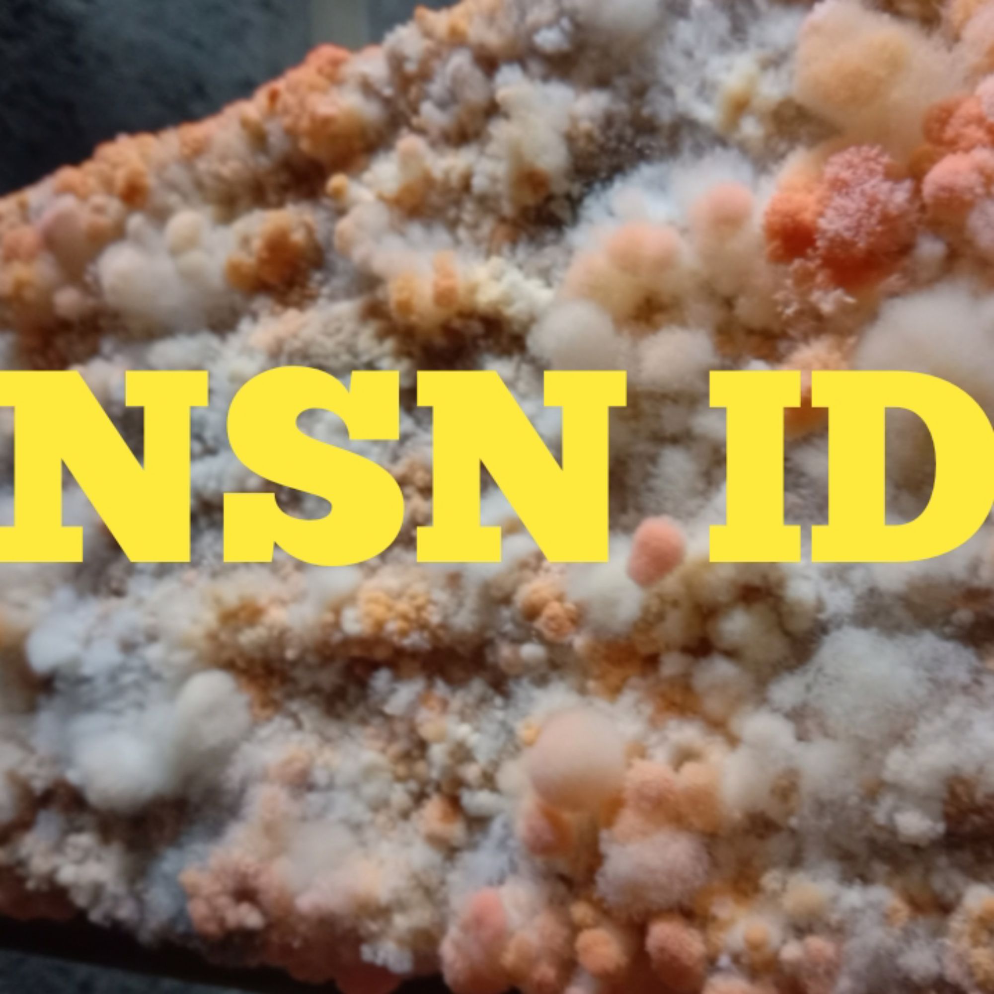 Produk NSN ID | Shopee Indonesia