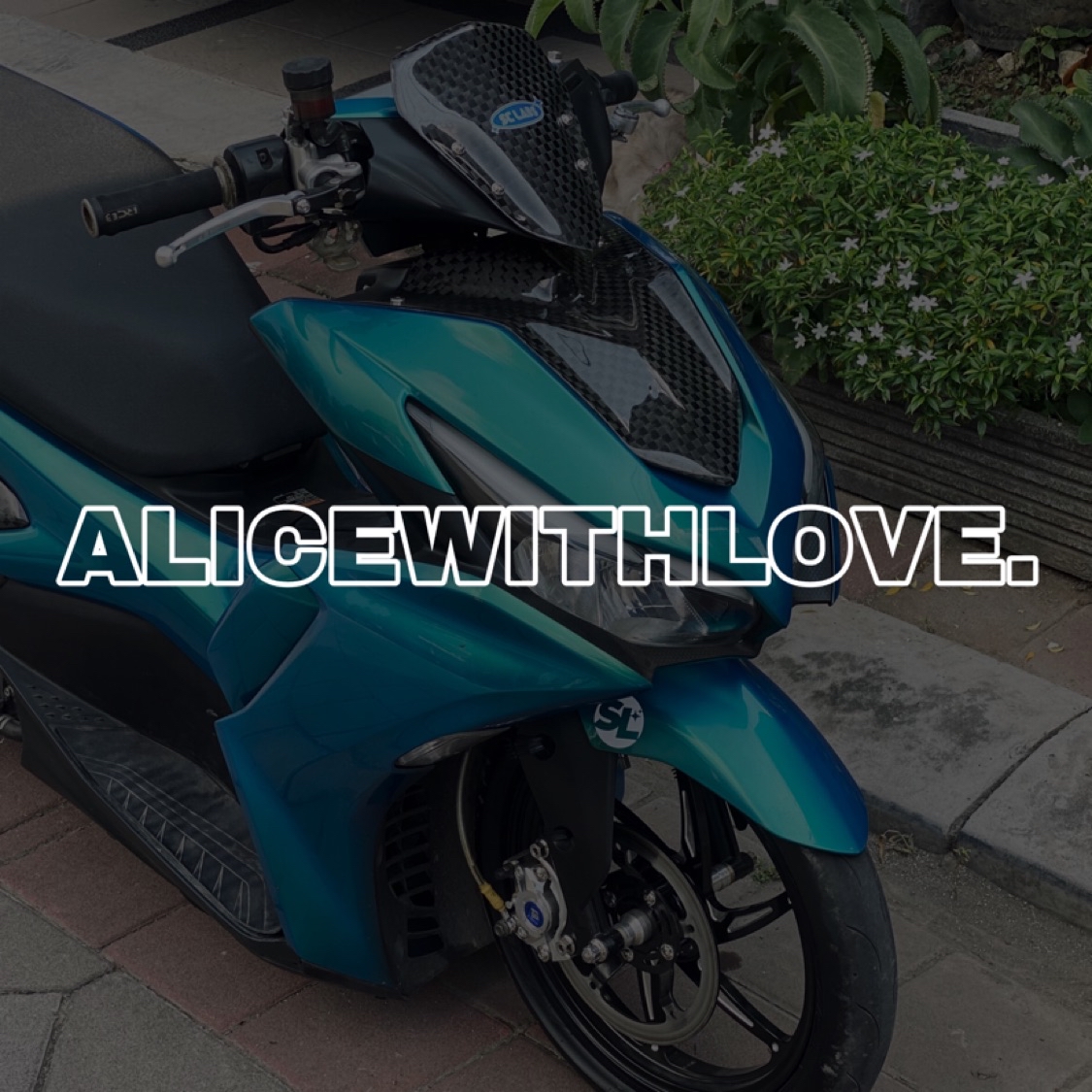 Produk AliceWithLove | Shopee Indonesia