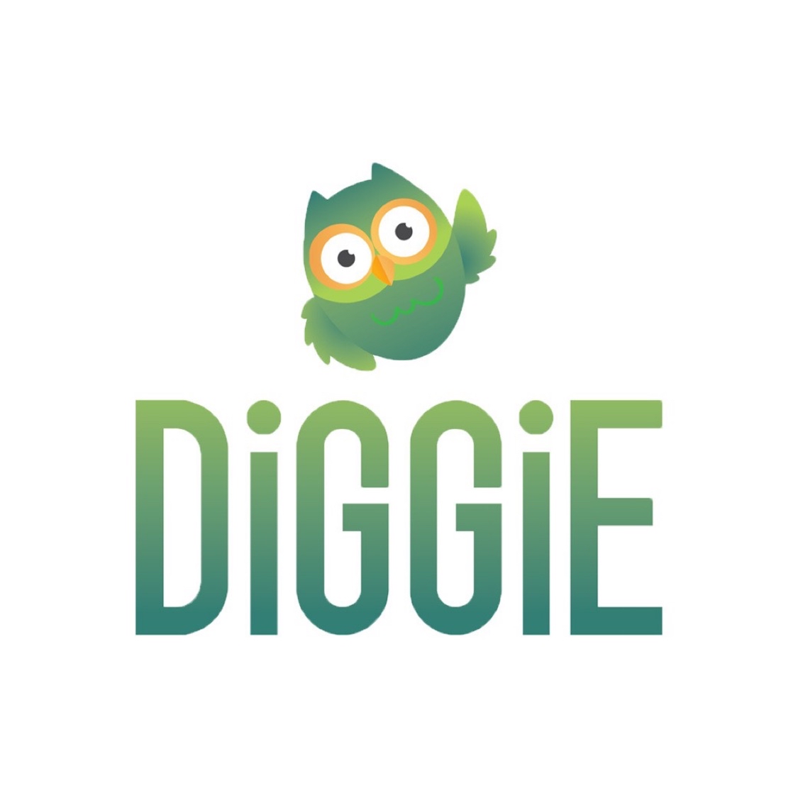 Produk Diggie Snack | Shopee Indonesia