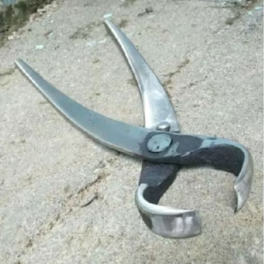 Produk Ipb kebumen | Shopee Indonesia