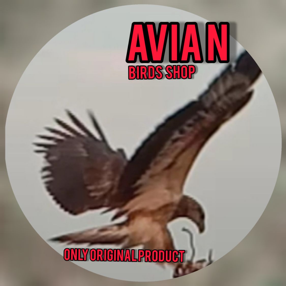 Produk AVIAN BIRDS SHOP | Shopee Indonesia